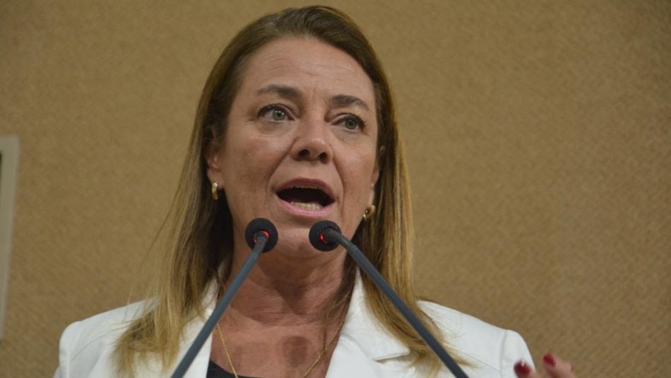 Fabíola apresenta projeto de estatística sobre violência contra a ...